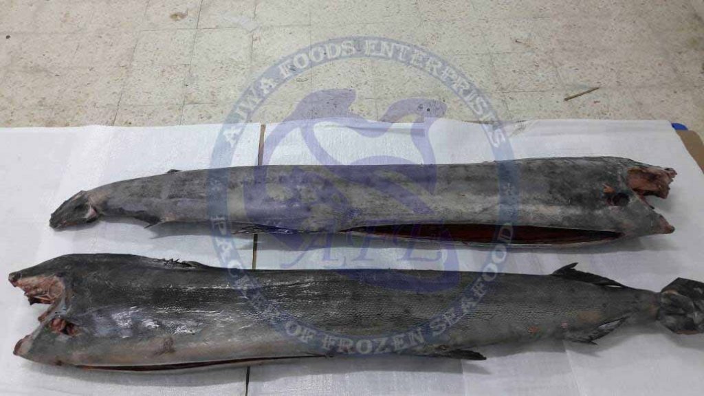 Sail Fish HGT – Gulf Origin | Ajwa Foods Enterprises - Frozen Seafood ...