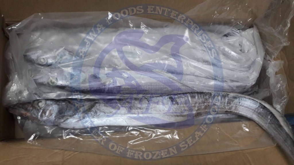 Ribbon Fish – Gulf Origin | Ajwa Foods Enterprises - Frozen Seafood ...
